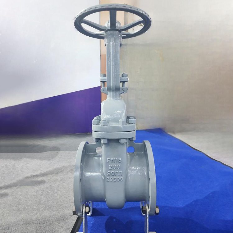 Gost Standard Gate Valve Gost 5762 - CNLD Valves