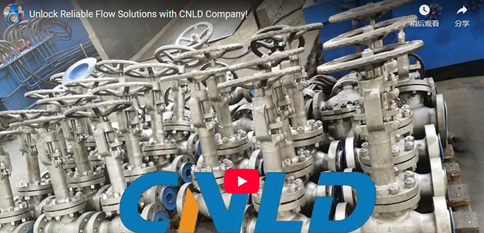 Unlock Reliable Flow Solutions with CNLD Company! - CNLD Valves