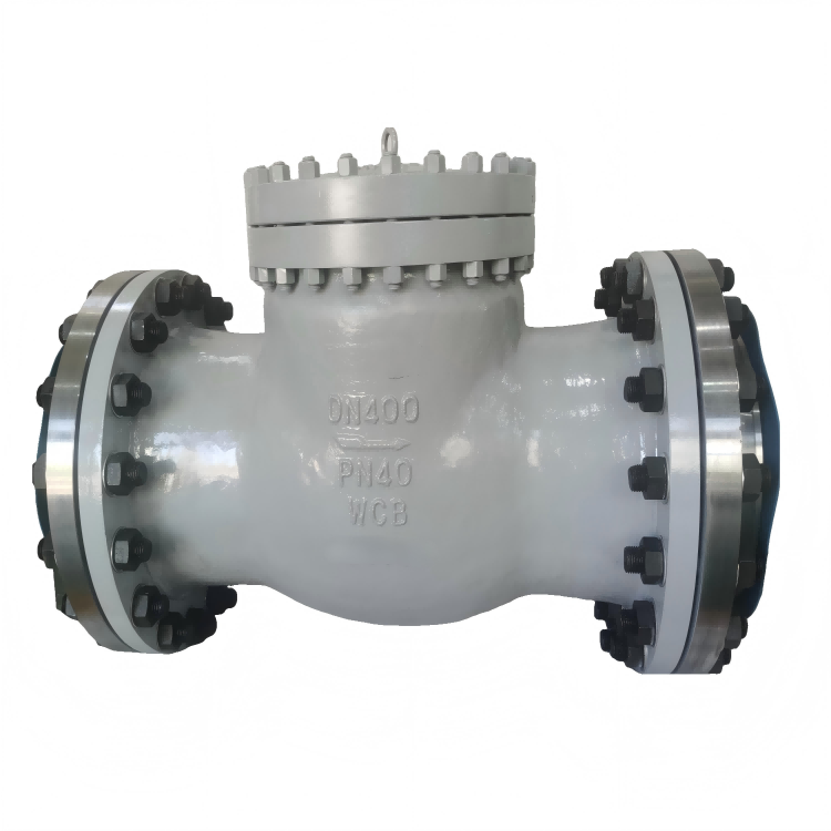 DIN Swing Check Valve PN40 DN400 - CNLD Valves